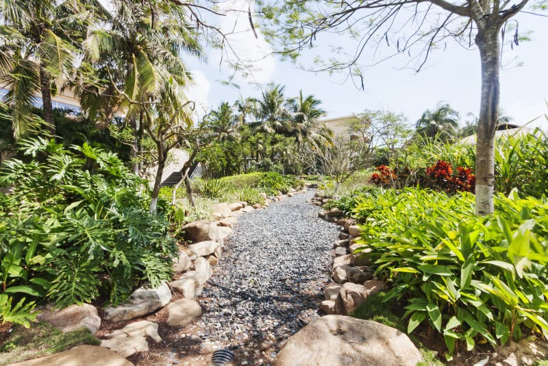 Gray Pebbled Path in the Tropical Garden Stock Image - Image of color ...