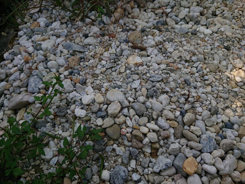 Gray Pebbles in Front of the House in the Morning Stock Photo - Image ...