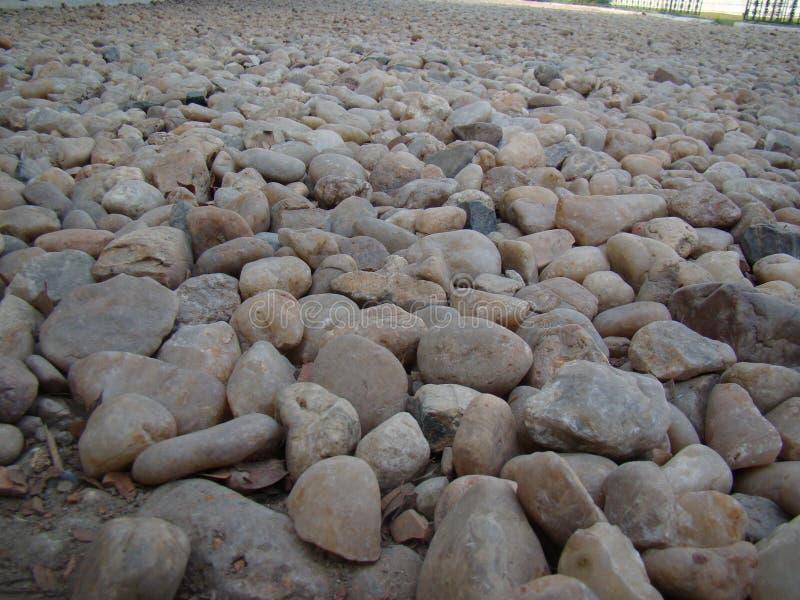 Gray pebbles on sea beach stock image. Image of stones - 243249563