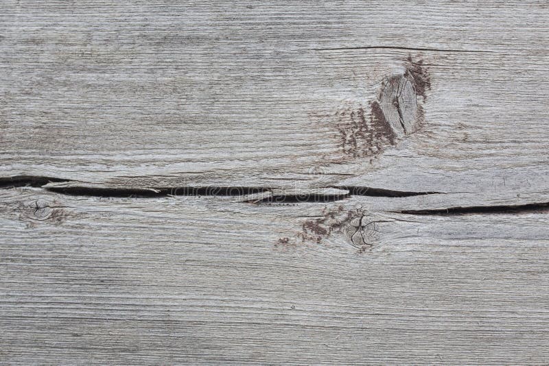 Gray pine textural board stock image. Image of high, hardwood - 80100977