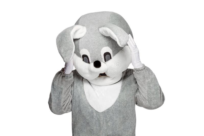 163 Sad Plush Rabbit Stock Photos - Free & Royalty-Free Stock Photos ...