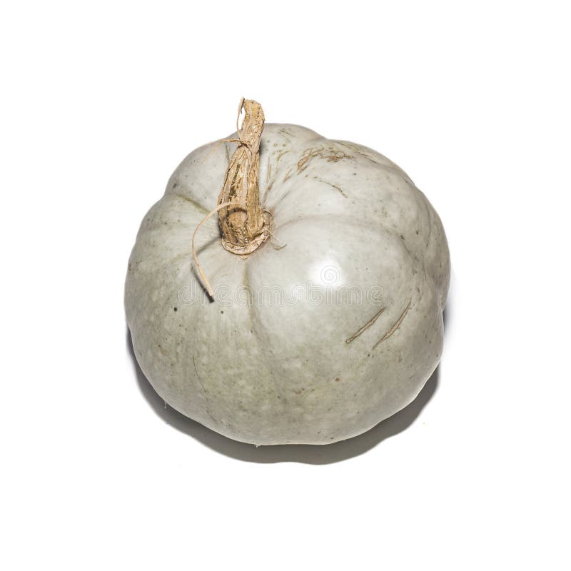 Gray Pumpkin on White Background. Food Stock Image - Image of ...