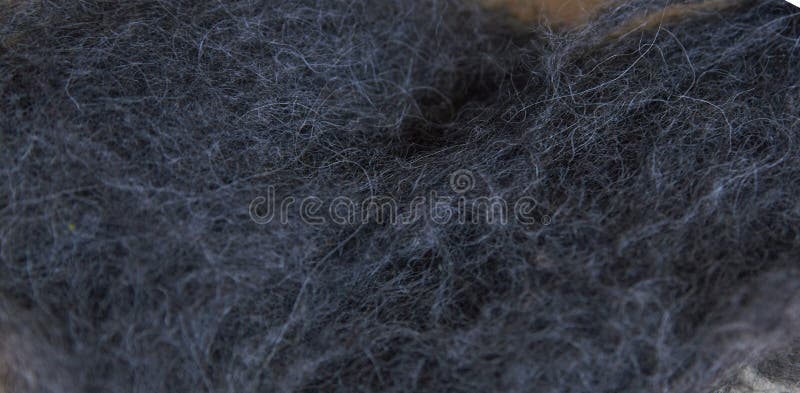 Gray Raw Wool, Ready for Manufacturing Stock Photo - Image of curly ...