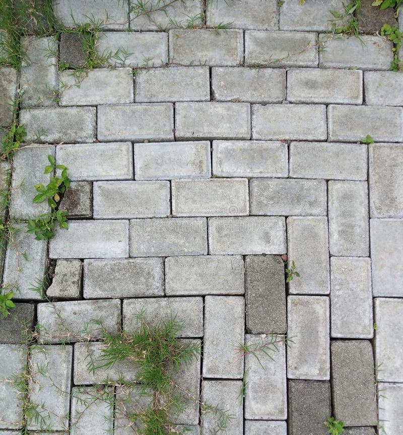 Aesthetic Background of Gray Bricks. Paving Stones in the Garden, Close ...