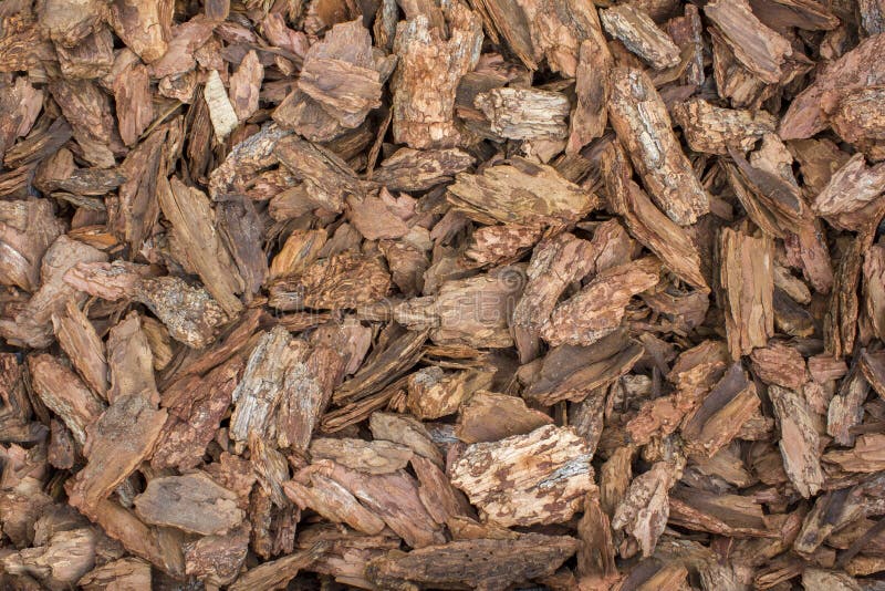 Gray Red Slivers of Tree Bark Close Up Top View. Natural Surface ...