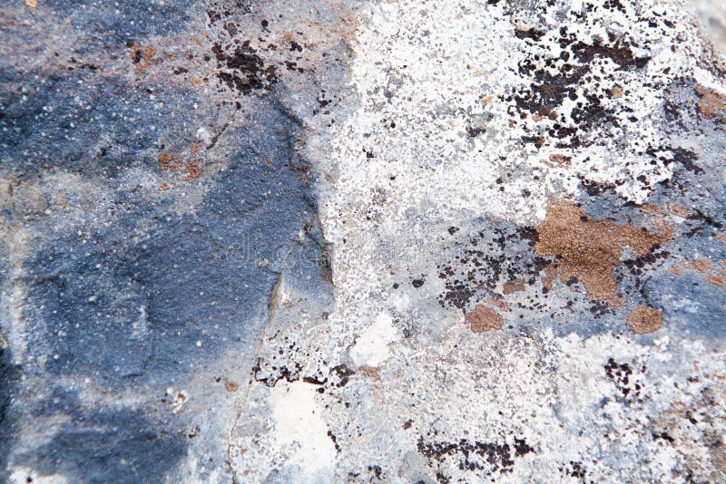 Gray Rock with Colorful Moss Stock Image - Image of natural, macro ...