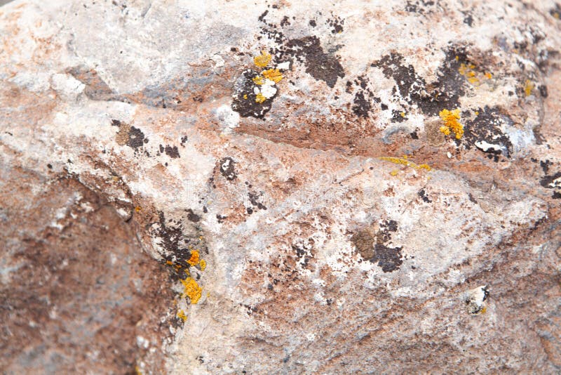 Gray Rock with Colorful Moss Stock Image - Image of surface, growth ...