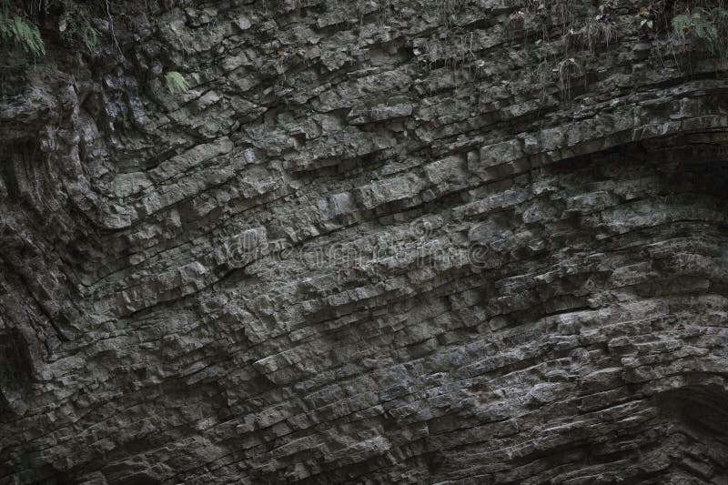 Gray rock stock photo. Image of scaur, wall, nature - 241643876