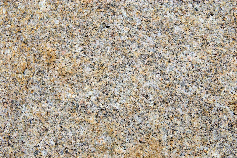 Gray rock texture stock photo. Image of close, life, gray - 2605012