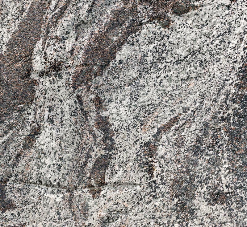 Gray rock texture stock image. Image of surface, rough - 82311045