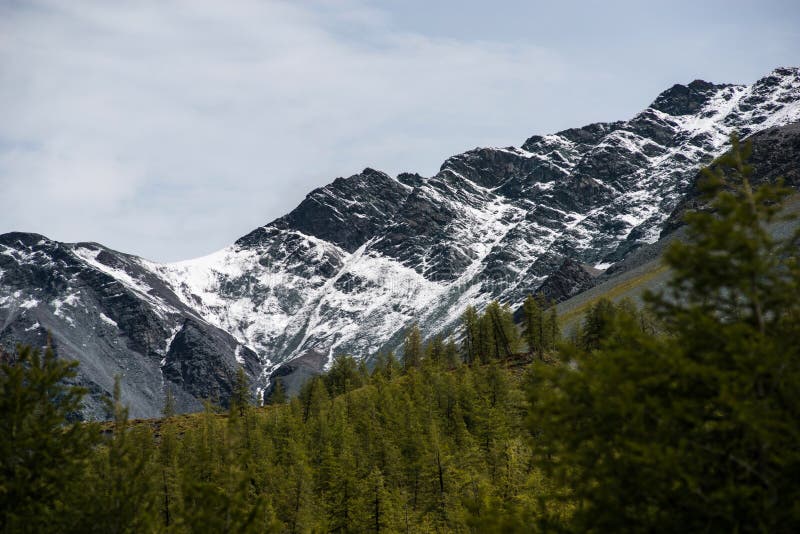 Gray Rocks, Green Forest and Snow-capped Mountains on the Background ...