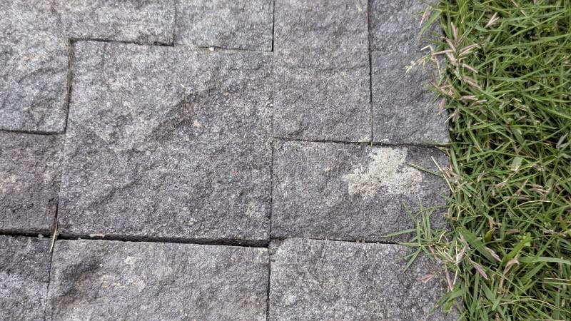 A Gray, Rough-textured Stone Block Path is Shown on the Left Side, with ...