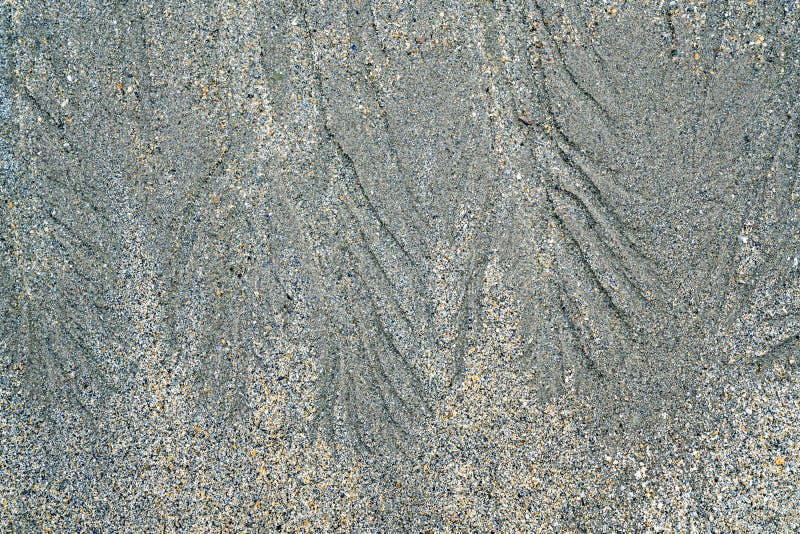 Gray Sand Surface for a Background or Texture Stock Photo - Image of ...