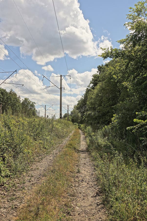 A Gray Sandy Path among the Green Grass and Trees in the Garden Stock ...