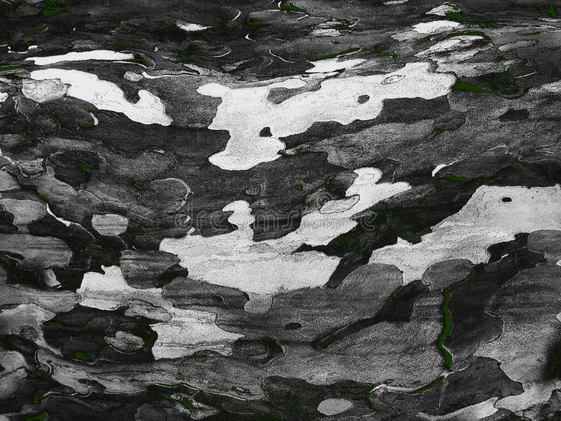 15,859 Camo Stock Photos - Free & Royalty-Free Stock Photos from Dreamstime