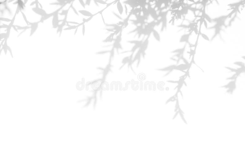 Shadow Concept Space Texture Stock Illustrations – 83,235 Shadow ...