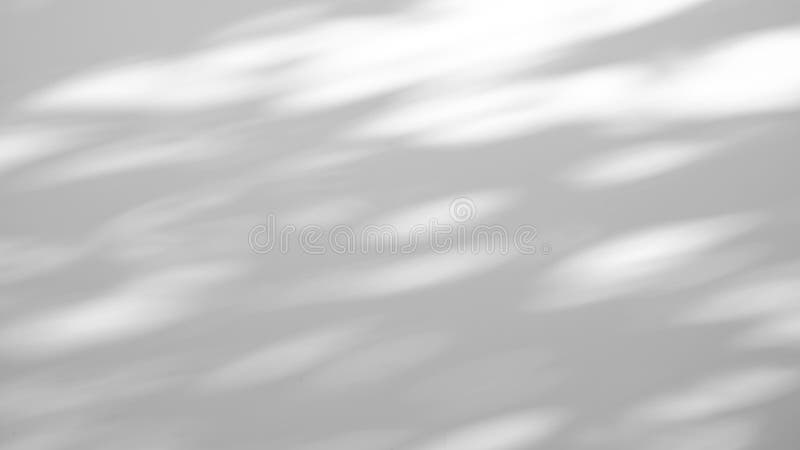 Gray Shadows Leaf in Wind Blowing Overlay on White Wall Stock Video ...