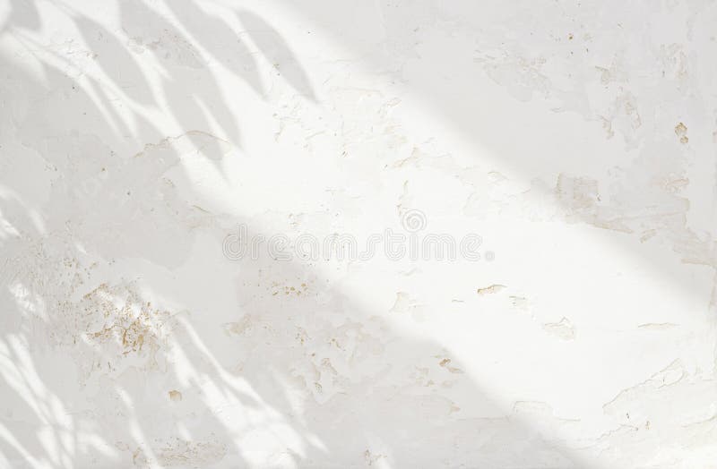 Gray Shadows of Leaves and Window on Rough Wall Texture Stock Image ...