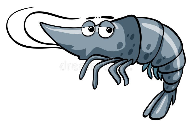 Gray shrimp with sad face stock vector. Illustration of seafood - 97676108