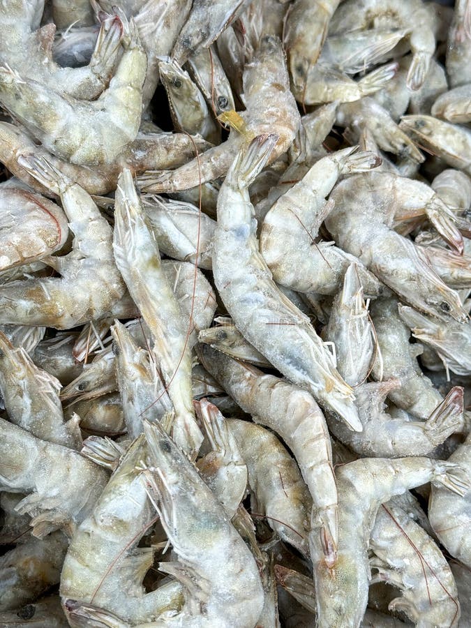 Gray Shrimp on a Shelf in a Market Stock Photo - Image of shell, diet ...