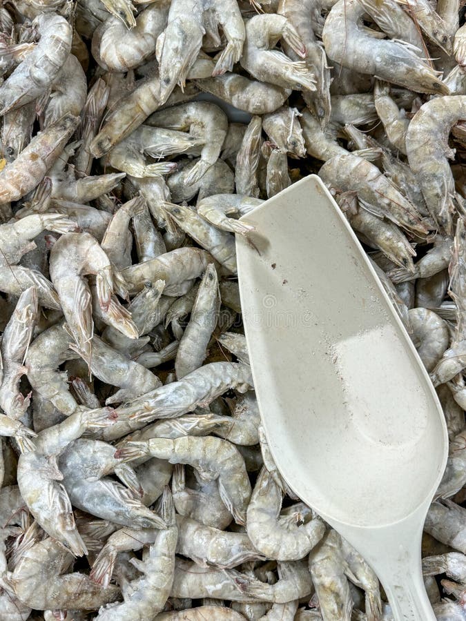 Gray Shrimp on a Shelf in a Market Stock Photo - Image of white, market ...