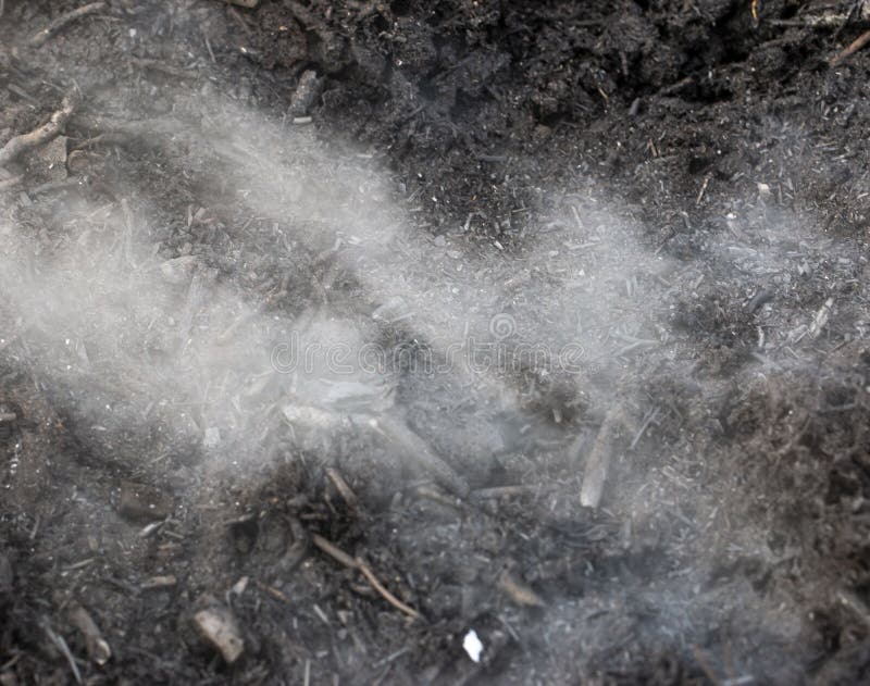 Gray Smoke when Burning Grass Stock Photo - Image of smog, burning ...