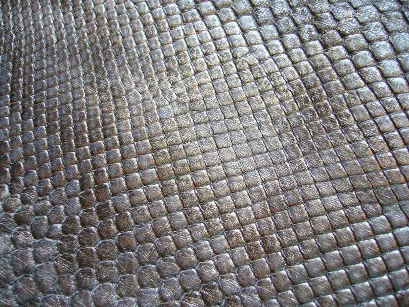 Gray Snakeskin with Scales, Genuine Leather for Clothes, Bags. Gray ...