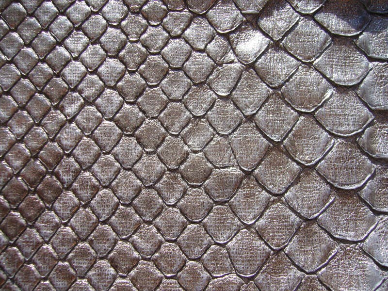 Gray Snakeskin with Scales, Genuine Leather for Clothes, Bags. Gray ...