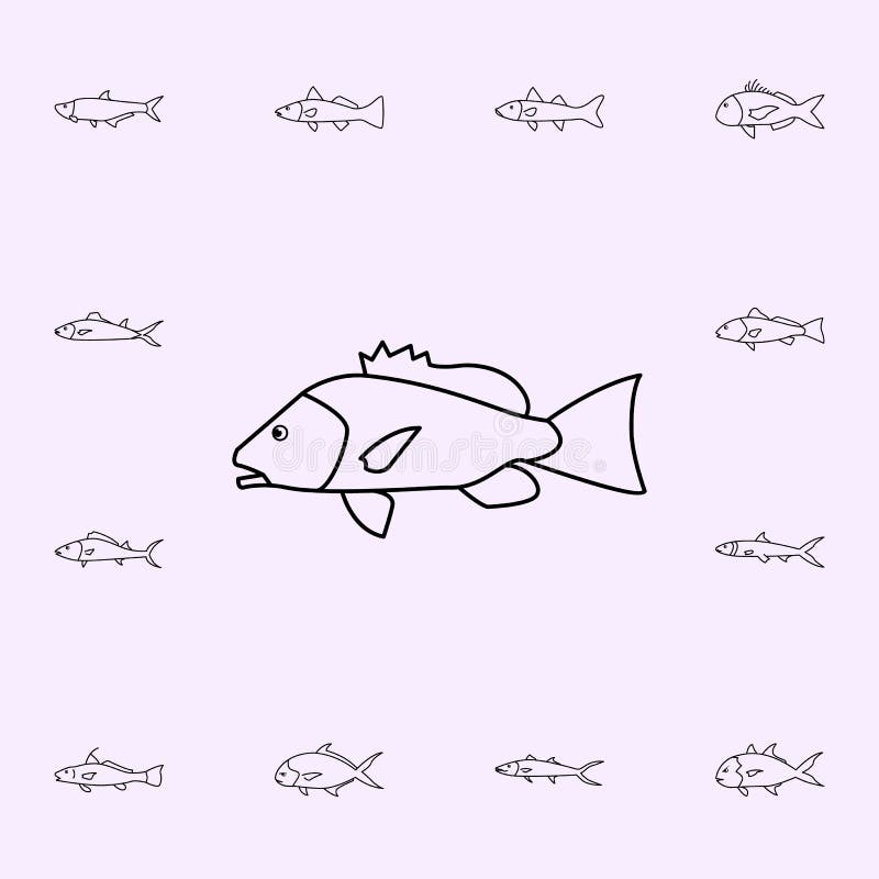 Snapper Outline Stock Illustrations – 51 Snapper Outline Stock ...