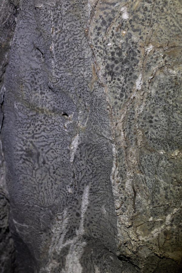 Gray Spotted Abstract Stone Textured Background. Rock Formations in ...