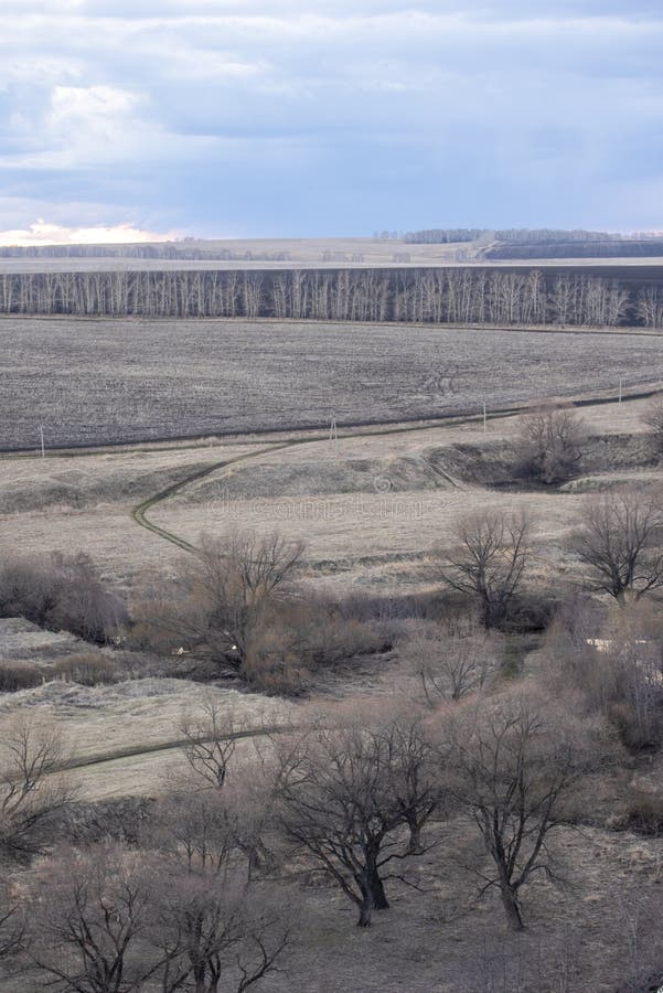 Gray Spring Vertical Landscape Stock Photo - Image of gray, park: 119354786
