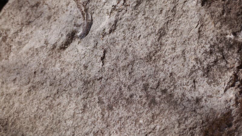 Gray stone stock image. Image of concrete, stone, gloomy - 52749919