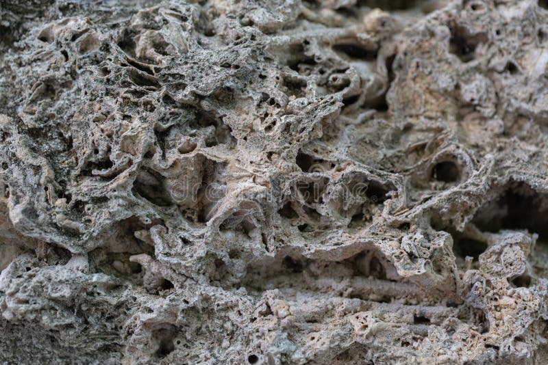 Gray stone rock ornament stock photo. Image of nature - 162122948