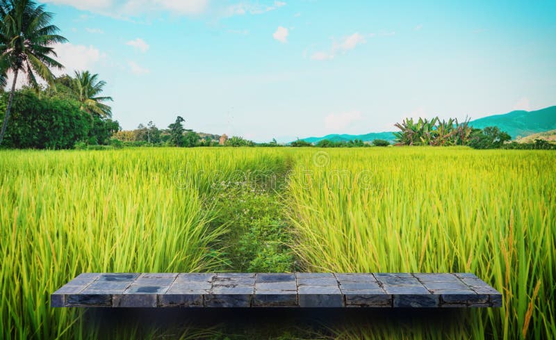 Gray Stone Shelf on Paddy Field Stock Photo - Image of stone, wall ...