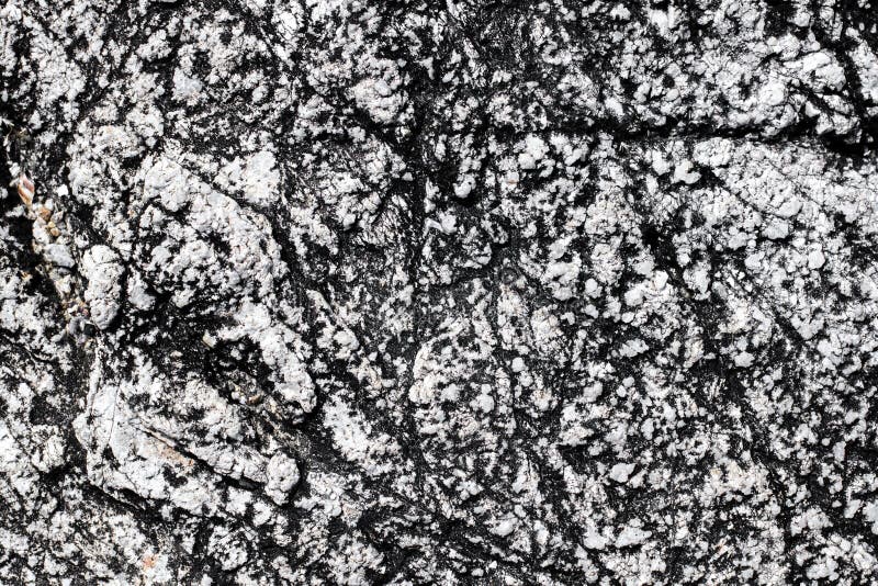 Gray Stone Slab Surface Grain Rock Backdrop Layout Industry ...