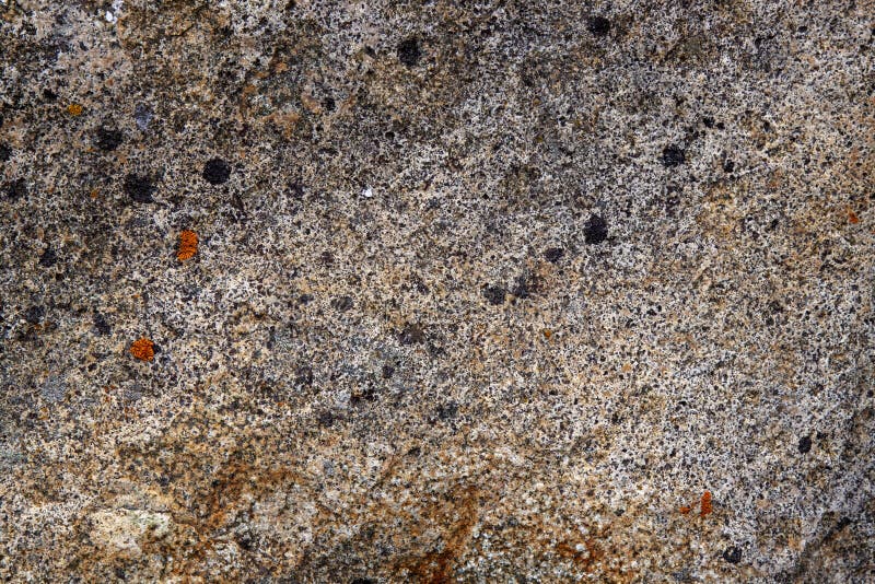 Gray Stone Texture with Inclusion and Homogeneous Background of the ...
