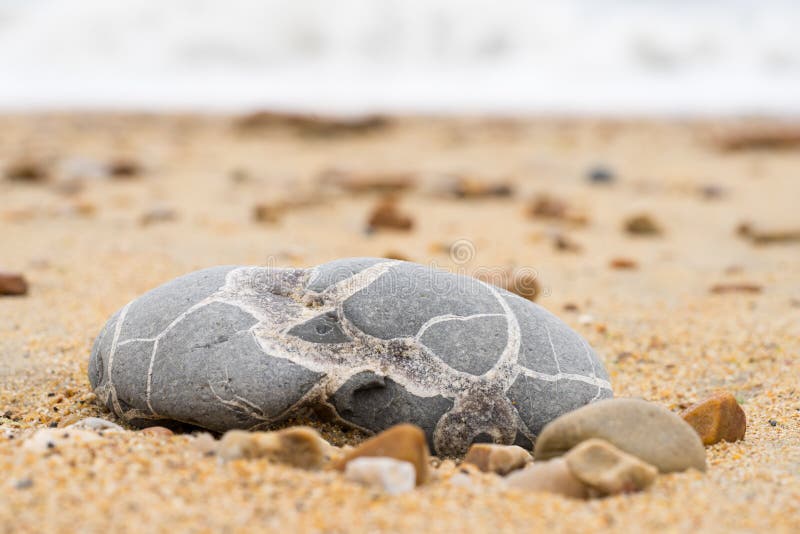 Gray Stone with White Lines Lying on a Sand Beach. Stock Image - Image ...