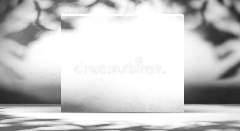 Gray Studio Light Shadow Leaf Backdrop Gradient Bg Empty Photography ...