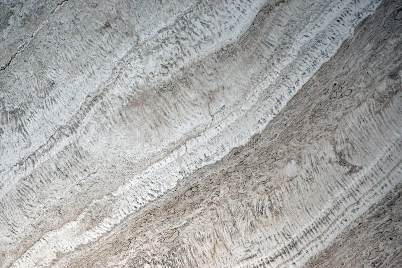 The Gray Surface of a Natural Stone with Stripes is Called Travertino ...