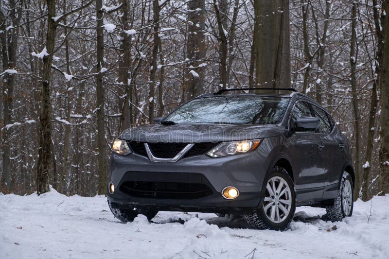 Gray SUV Parked on Snowy Forest Path Stock Image - Image of snowstorm ...