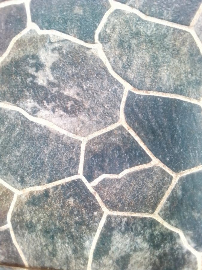 Texture Ploor Stock Photos - Free & Royalty-Free Stock Photos from ...