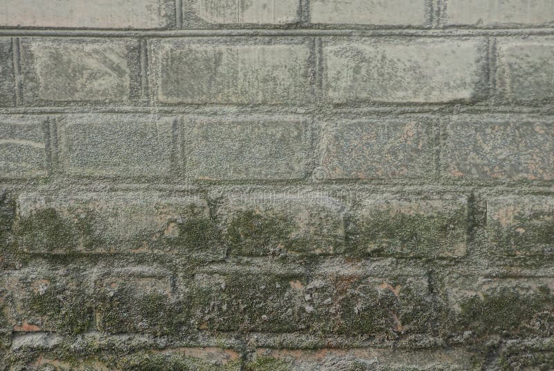 Texture of Dirty Bricks on an Old Wall Stock Photo - Image of backdrop ...