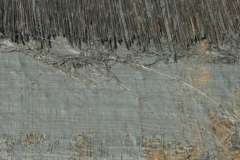 Gray texture of dry straw stock image. Image of natural - 196491125