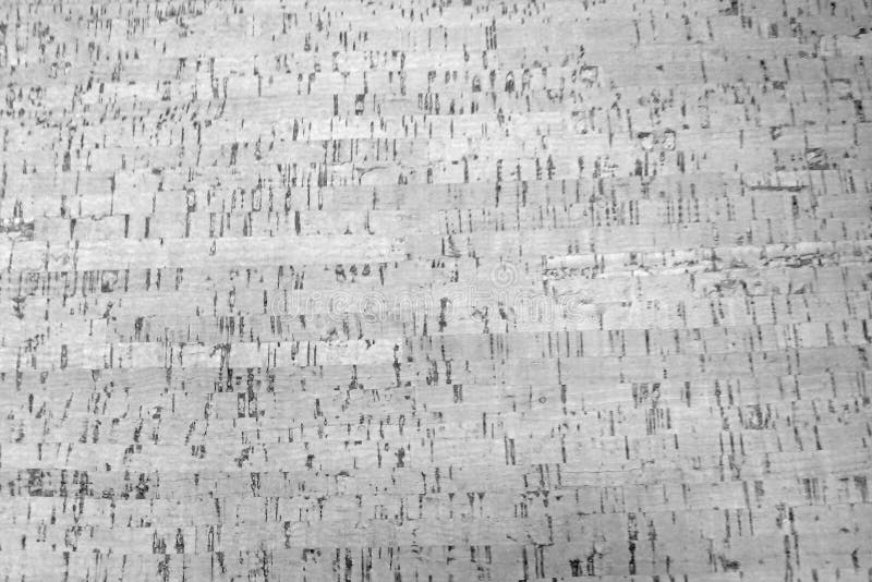 Gray Texture of the Wall or Paper Surface, Background. Stock Image ...