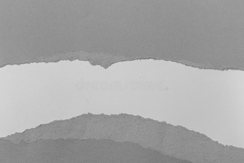 A Gray Torn Paper with White Copy Space. Stock Photo - Image of ...