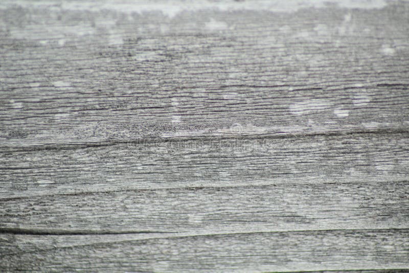 Gray wood texture stock image. Image of mood, wood, feeling - 141009805