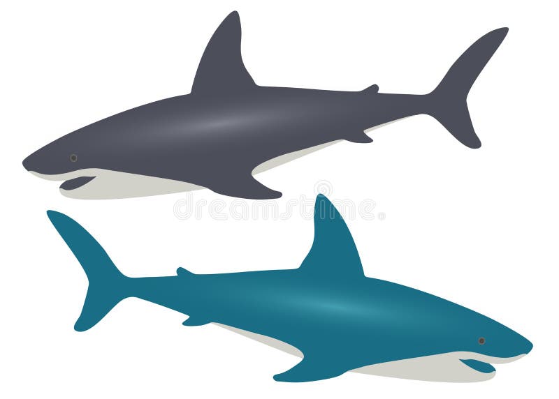 Gray and Turquoise Shark in the Set Stock Vector - Illustration of ...