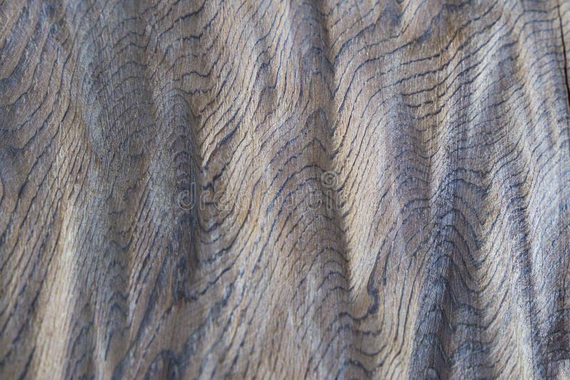Wavy wood texture stock photo. Image of desk, grunge - 113497734
