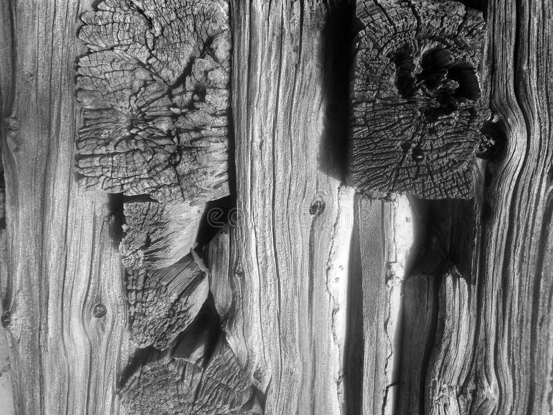 Gray Log House Lumber stock photo. Image of gray, ends - 50360710