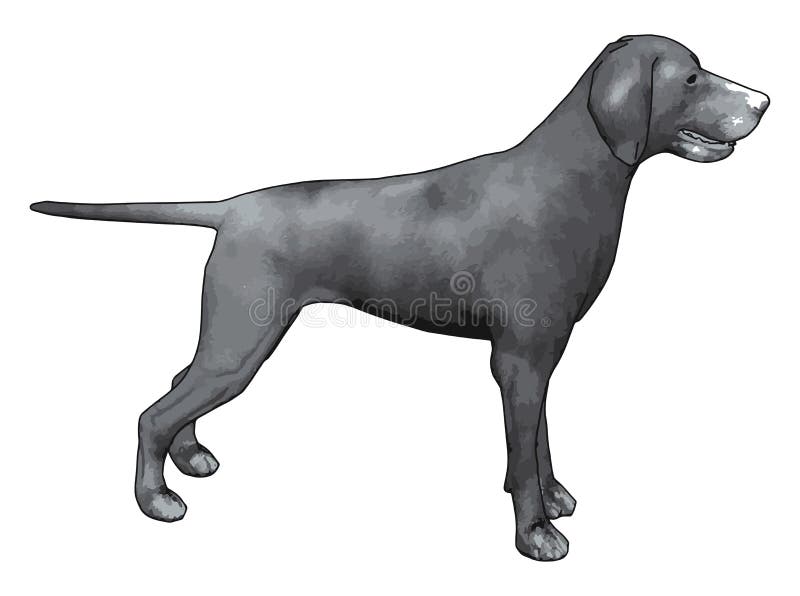 Dog Weimaraner Cartoon Vector Illustration Stock Vector - Illustration ...